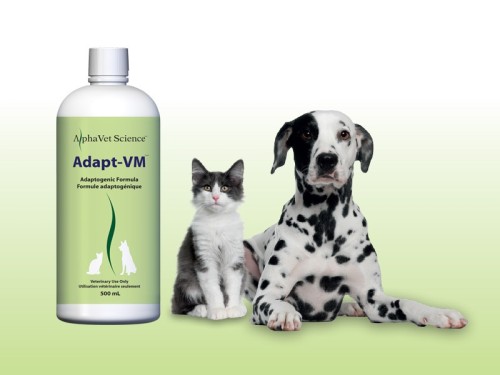 Home - AlphaVetScience