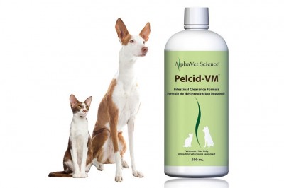 Home - AlphaVetScience