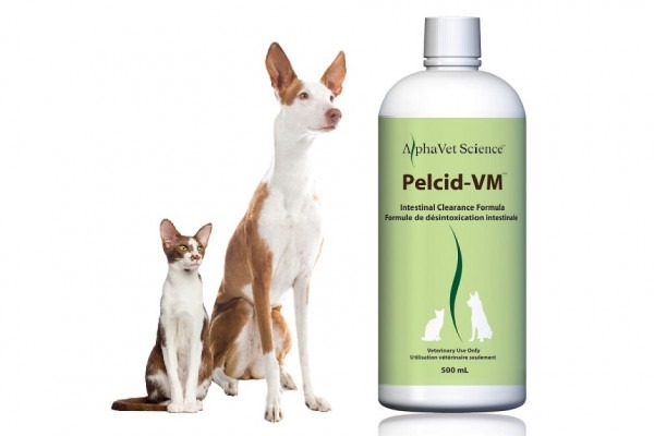 Home - AlphaVetScience