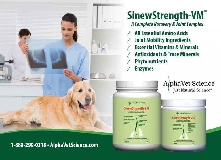 Product-Lite - AlphaVetScience